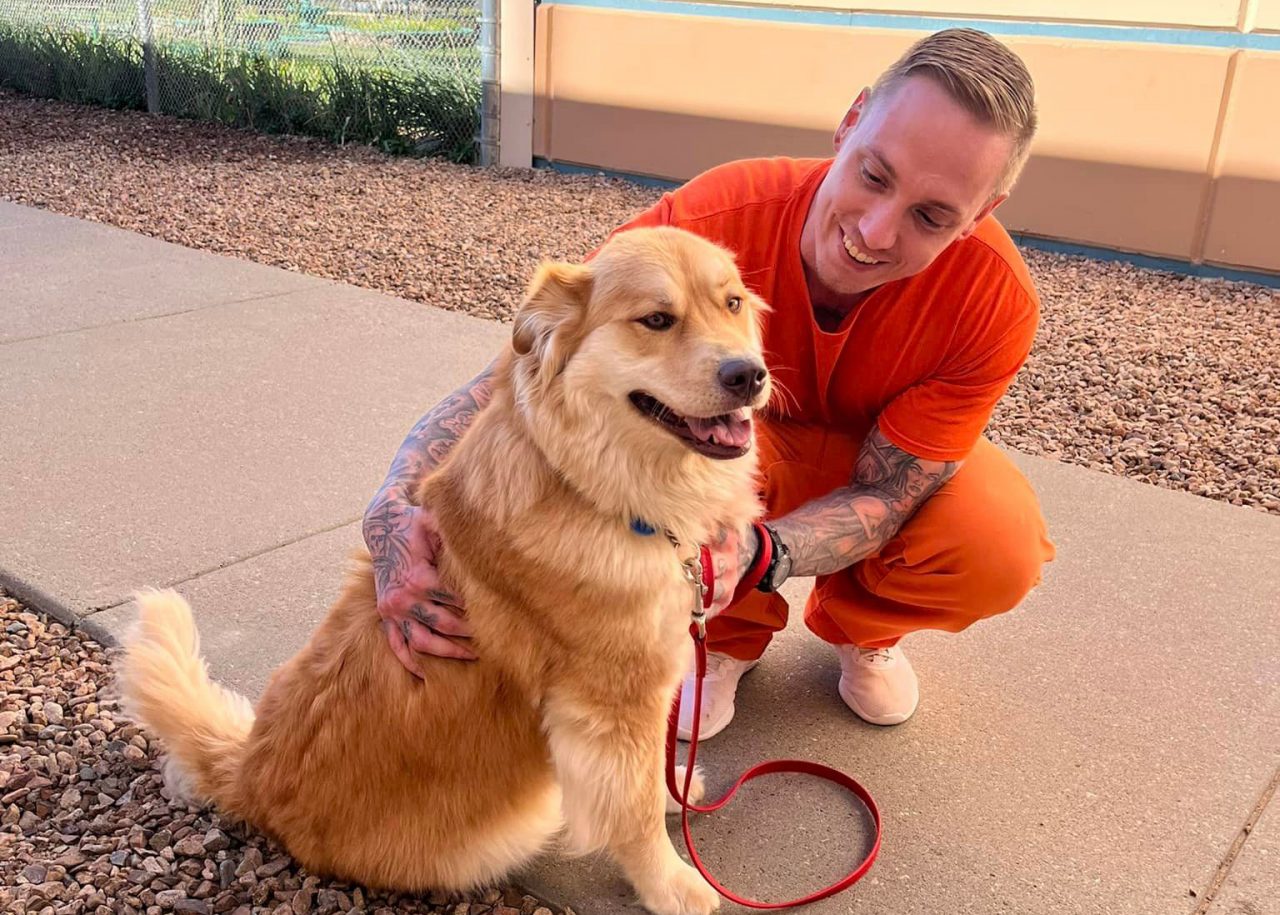 Reentry Programs | New Mexico Corrections Department