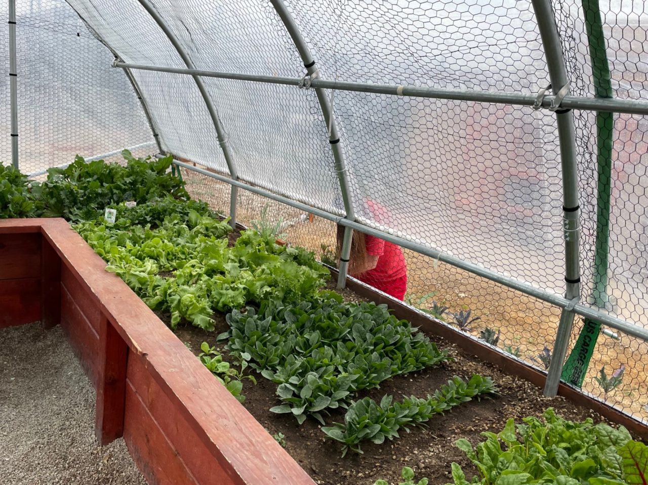 Reentry Programs | New Mexico Corrections Department