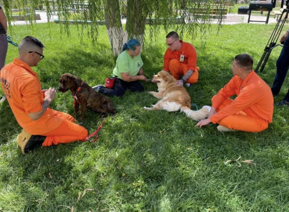 New Mexico Corrections Department | Dog Programs